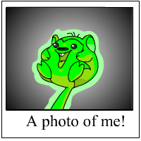 Glowing Meerca | Rainbow Pool | Neopets Wardrobe