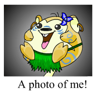 Island Meerca | Rainbow Pool | Neopets Wardrobe