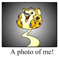 Spotted Meerca | Rainbow Pool | Neopets Wardrobe