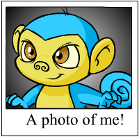 Blue Mynci | Rainbow Pool | Neopets Wardrobe
