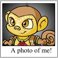 Island Mynci | Rainbow Pool | Neopets Wardrobe