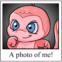 Maraquan Mynci | Rainbow Pool | Neopets Wardrobe