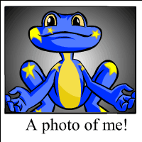 Starry Nimmo | Rainbow Pool | Neopets Wardrobe