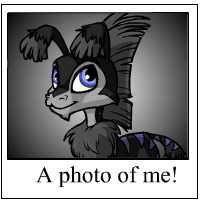 Shadow Ogrin | Rainbow Pool | Neopets Wardrobe