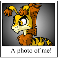 Yellow Ogrin | Rainbow Pool | Neopets Wardrobe