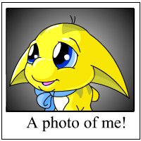 Baby Poogle | Rainbow Pool | Neopets Wardrobe