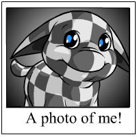 Checkered Poogle | Rainbow Pool | Neopets Wardrobe