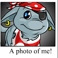 Pirate Poogle | Rainbow Pool | Neopets Wardrobe