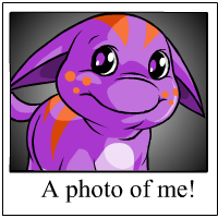 Purple Poogle | Rainbow Pool | Neopets Wardrobe