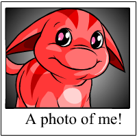 Red Poogle | Rainbow Pool | Neopets Wardrobe