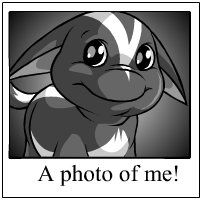 Skunk Poogle | Rainbow Pool | Neopets Wardrobe