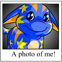 Starry Poogle | Rainbow Pool | Neopets Wardrobe