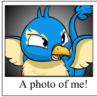 Blue Pteri | Rainbow Pool | Neopets Wardrobe