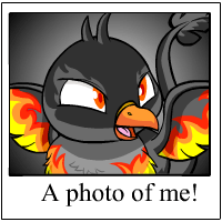 Fire Pteri | Rainbow Pool | Neopets Wardrobe