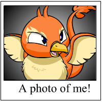 Orange Pteri | Rainbow Pool | Neopets Wardrobe