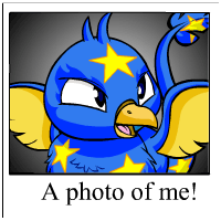 Starry Pteri | Rainbow Pool | Neopets Wardrobe