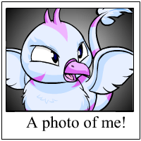 Striped Pteri | Rainbow Pool | Neopets Wardrobe