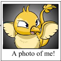 Yellow Pteri | Rainbow Pool | Neopets Wardrobe