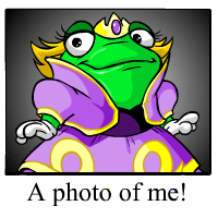 Royal Girl Quiggle | Rainbow Pool | Neopets Wardrobe