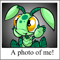 Baby Ruki | Rainbow Pool | Neopets Wardrobe