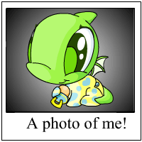 Baby Shoyru | Rainbow Pool | Neopets Wardrobe