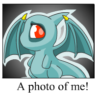 Ghost Shoyru | Rainbow Pool | Neopets Wardrobe