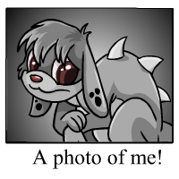 Grey Zafara | Rainbow Pool | Neopets Wardrobe